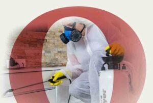 Pest Control Services in Abu Dhabi | Professional & Guaranteed Services