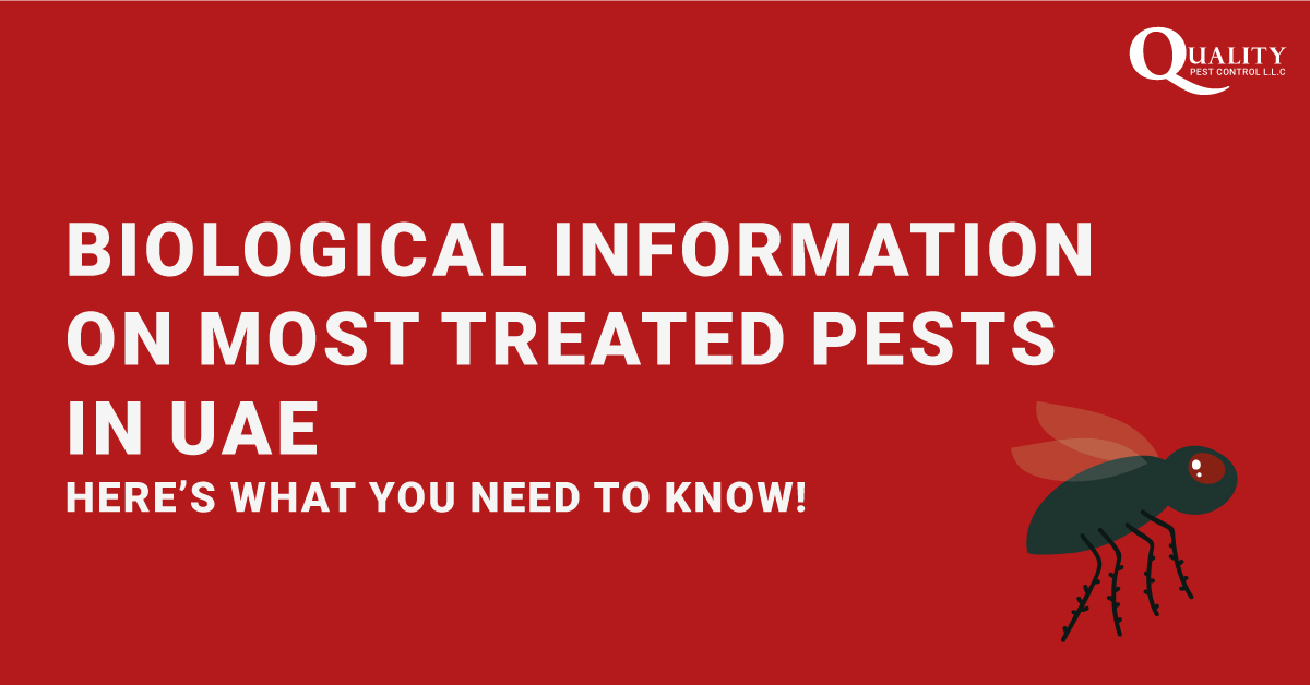 Biological Information on most treated pests in UAE | Quality pest control